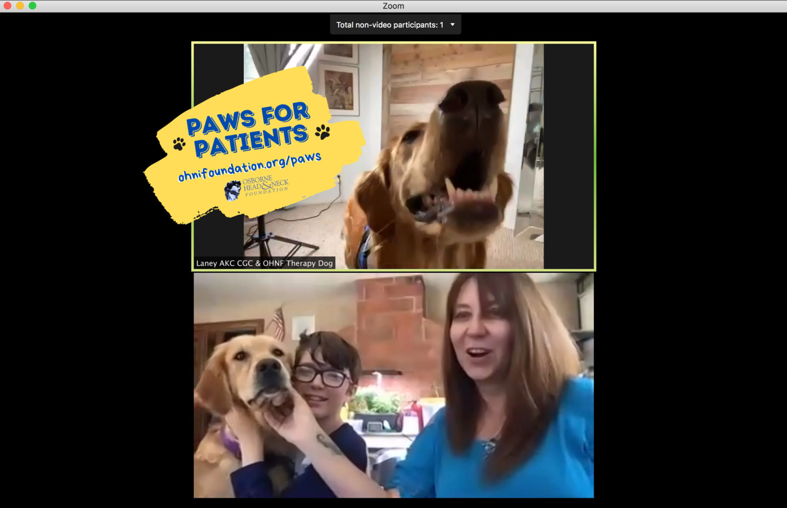 Virtual Therapy Dog for School Classrooms & Children - Osborne Head ...
