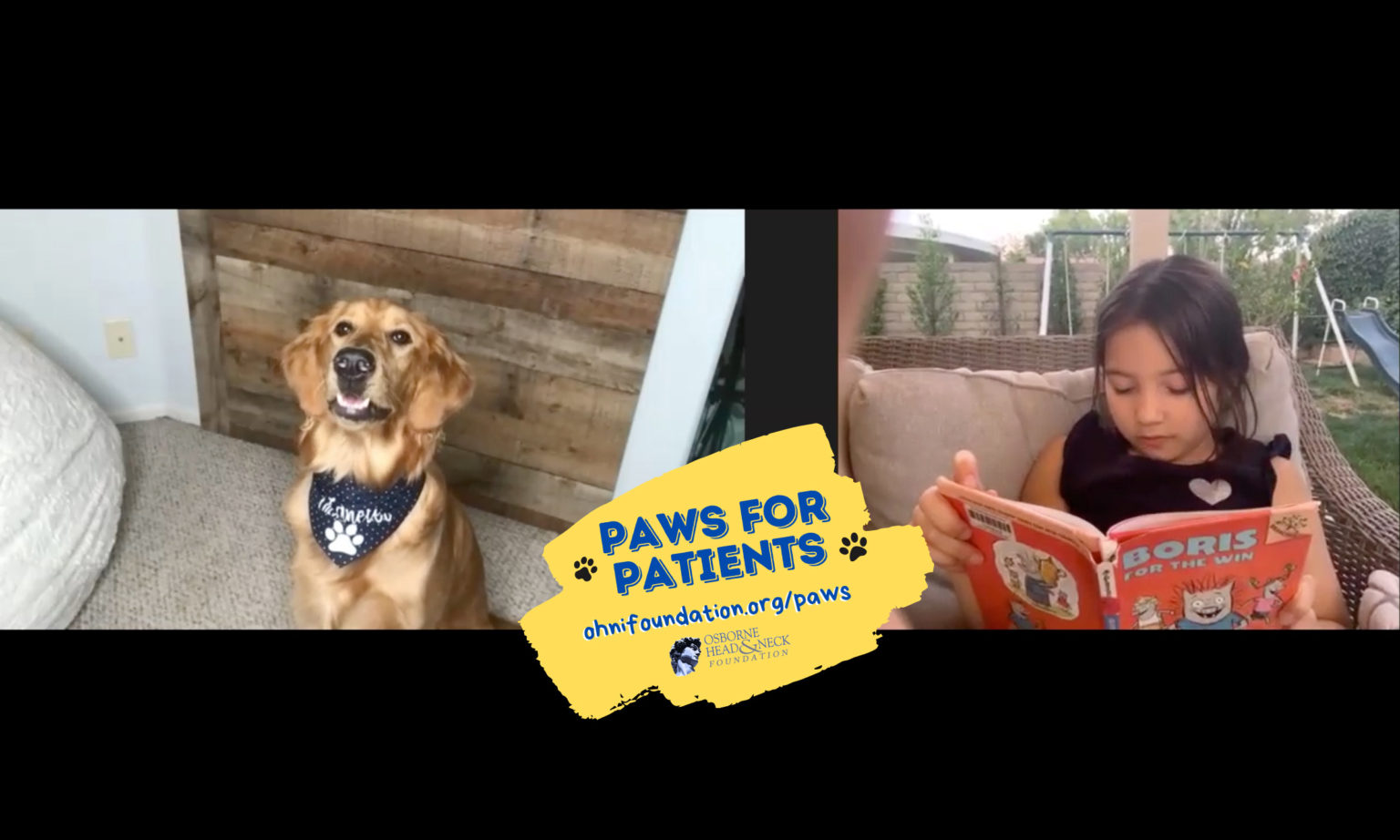 Virtual Therapy Dog for School Classrooms & Children - Osborne Head ...
